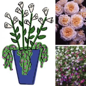 Rose Container Garden Ideas | Growing Roses in Containers ⋆ HTGT