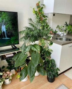 14 Indoor Plant Corner Ideas ⋆ HTGT