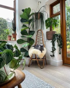 14 Indoor Plant Corner Ideas ⋆ HTGT