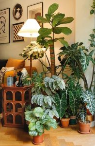 14 Indoor Plant Corner Ideas ⋆ HTGT